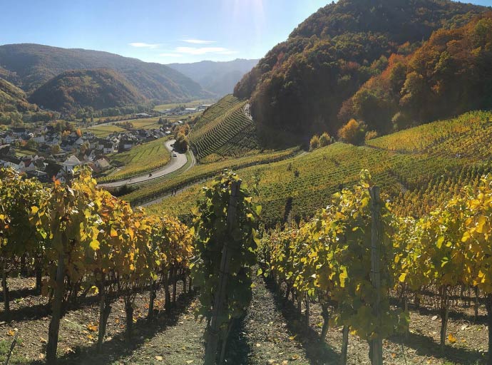 OBERWINTER | Hafenort am Rhein bei Remagen - Yachthafen